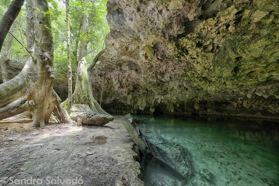 How to visit Chaak Tun Cenote: Info and Prices