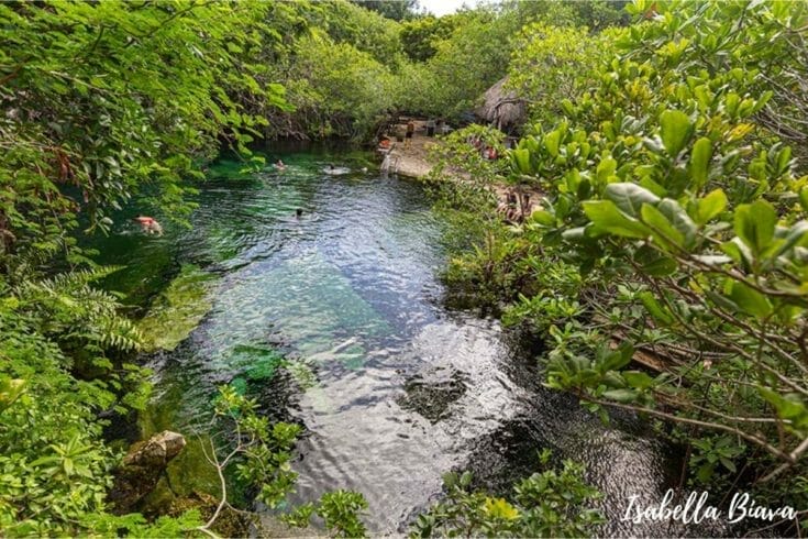 The Best 19+ Tulum Cenotes That Are Worth a Visit