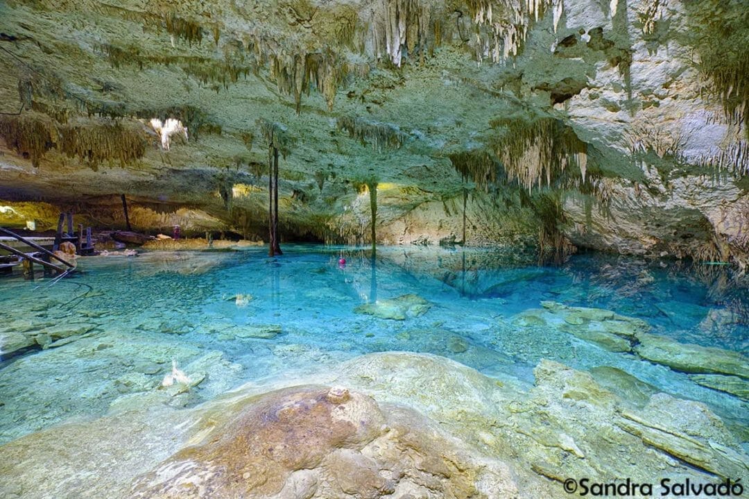 The 17 best cenotes near Playa del Carmen to visit in 2025