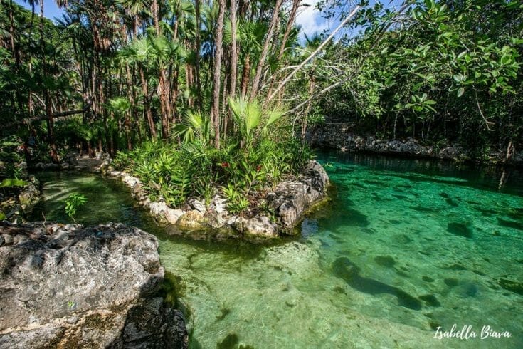 Morphology and history of the cenotes in Mexico's Yucatan Peninsula