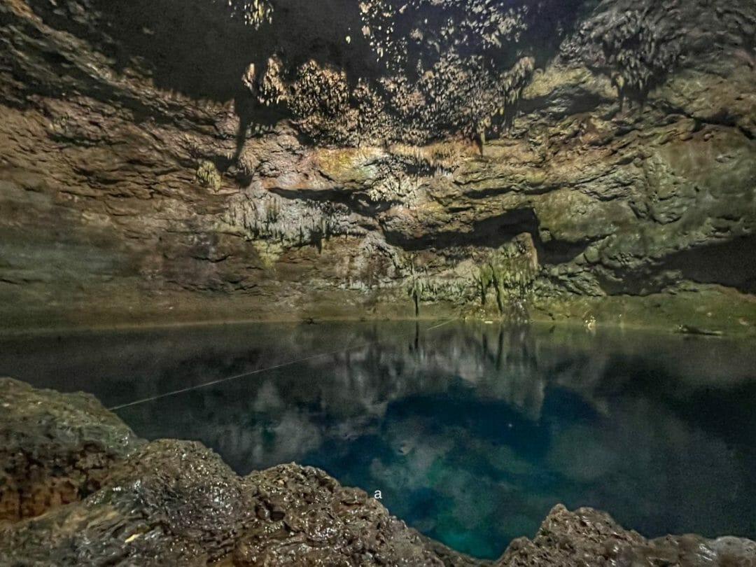 How to Visit Cenote Tankach-Ha Near Coba, Prices and Info