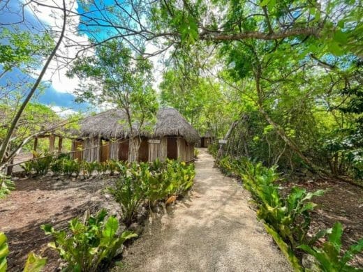 Cenote Xux-Ha Valladolid: Info and Prices in 2025