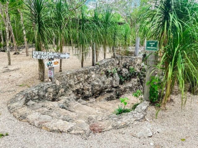 Cenote Xux-Ha Valladolid: Info and Prices in 2025