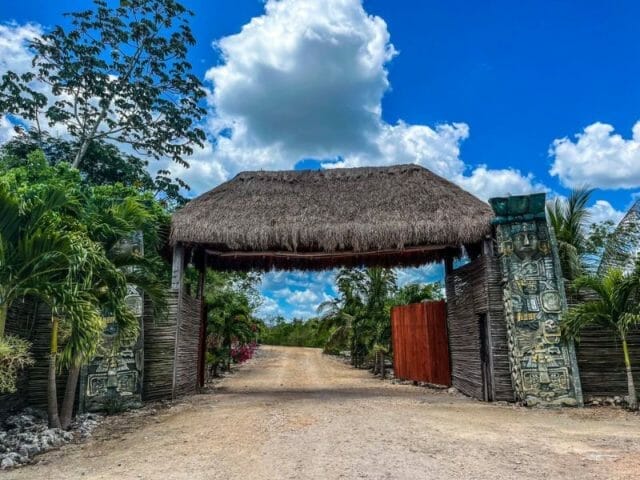 Cenote Xux-Ha Valladolid: Info and Prices in 2025