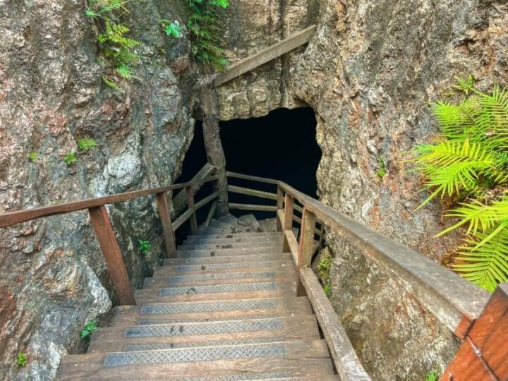 Cenote Xux-Ha Valladolid: Info and Prices in 2025