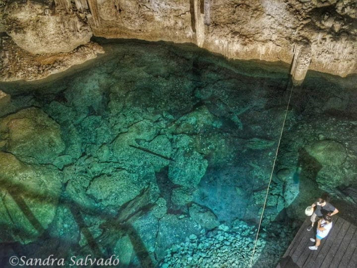 How to visit the Spectacular Coba Cenotes: Info and Prices