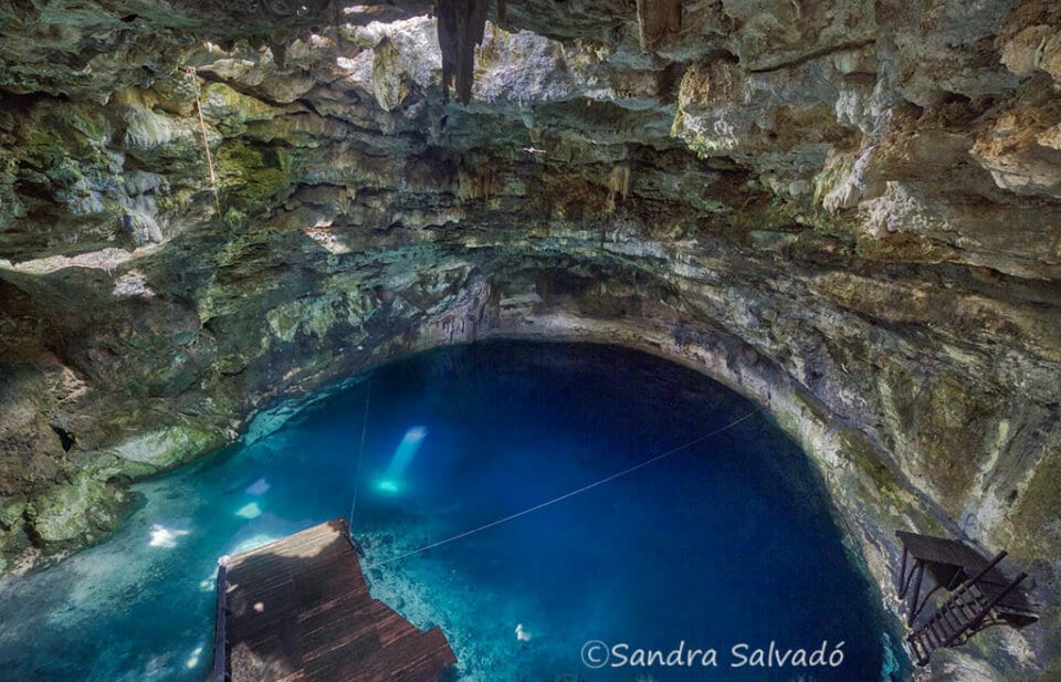 Cenote Xux-Ha Valladolid: Info and Prices in 2025