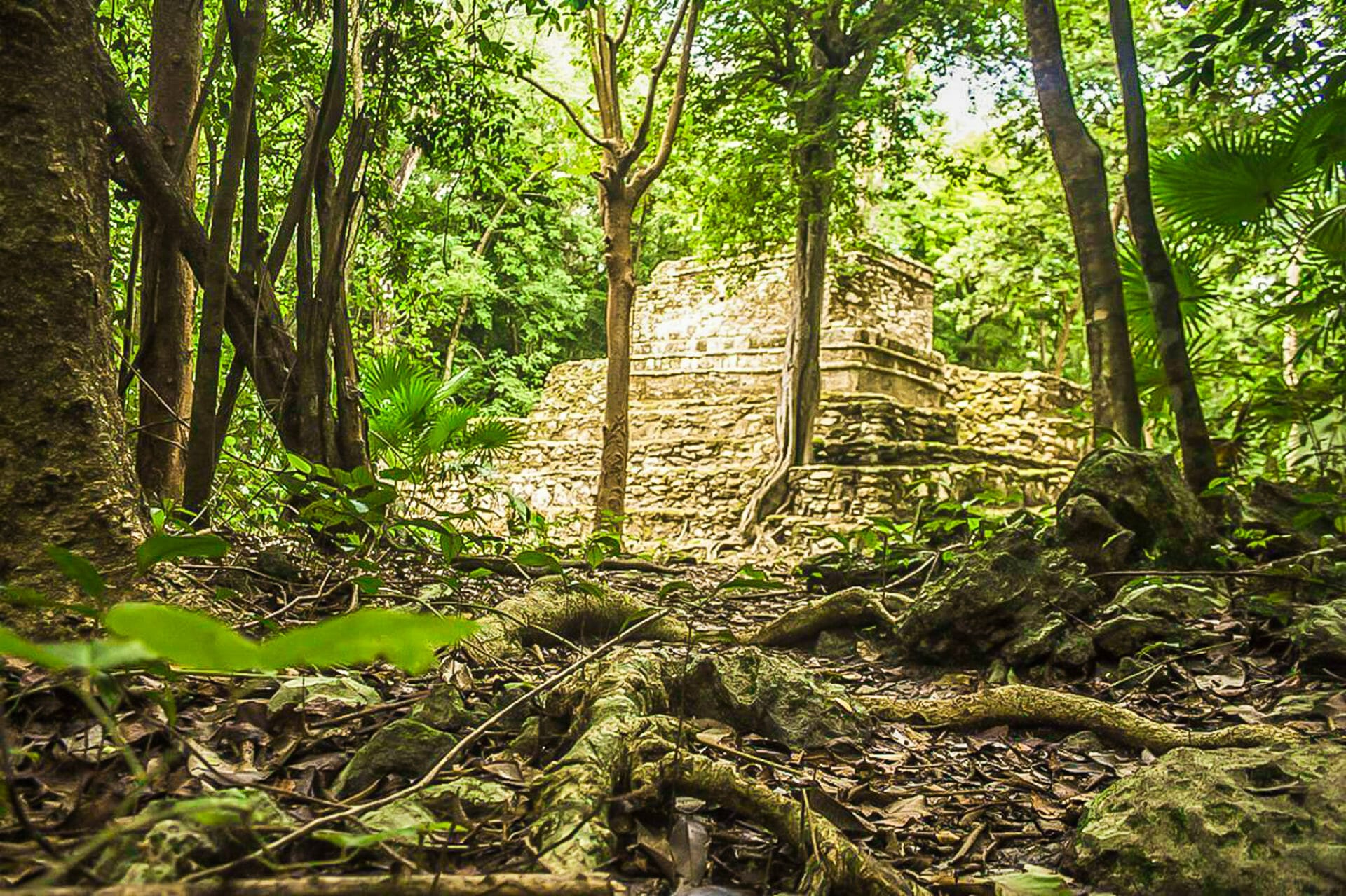 How to Visit the Muyil Mayan Ruins, The Only Guide You Need