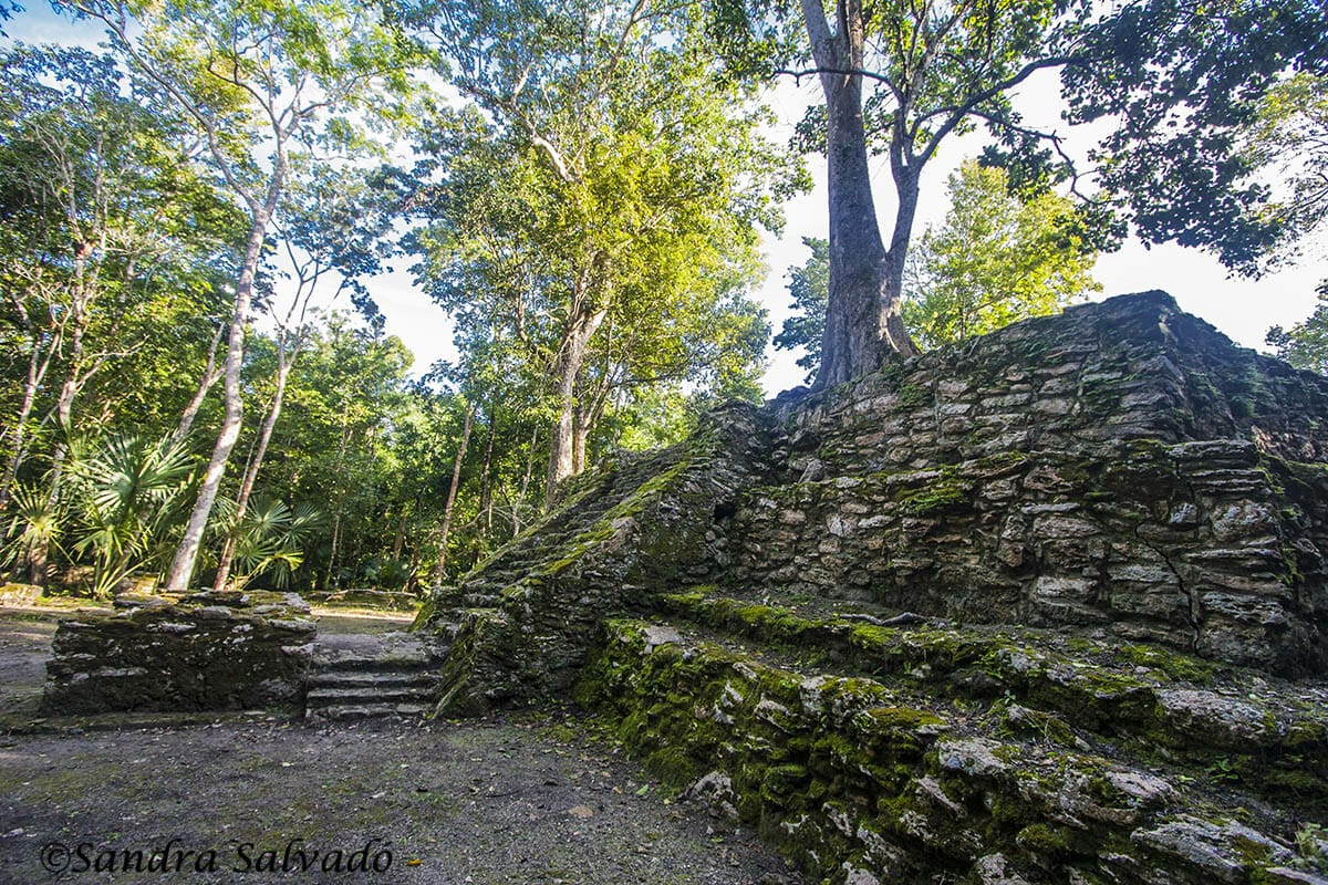 How to Visit the Muyil Mayan Ruins, The Only Guide You Need