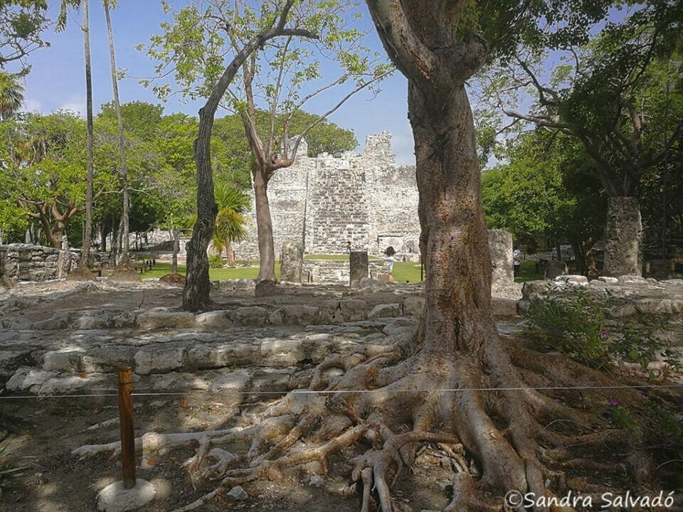 El Meco Archaeological site: Prices, Info and Insider Tips