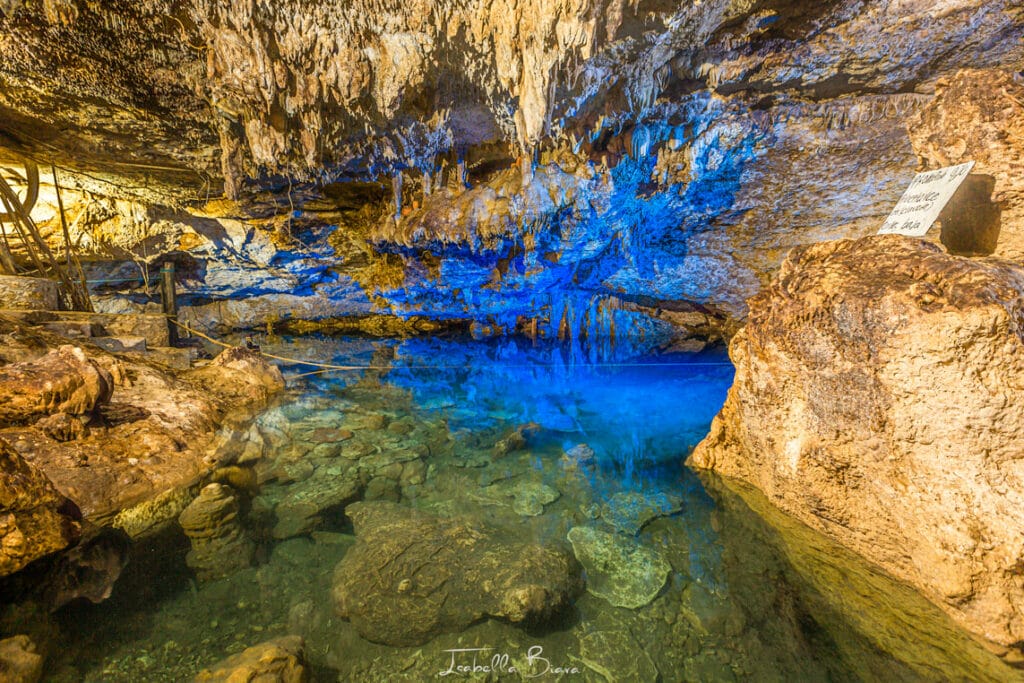 The 20 Best Homun Cenotes: The Complete Guide [2023]