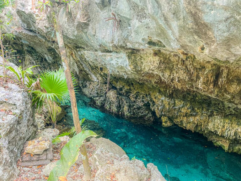 How to Visit the spectacular Cenote Minotauro, Riviera Maya