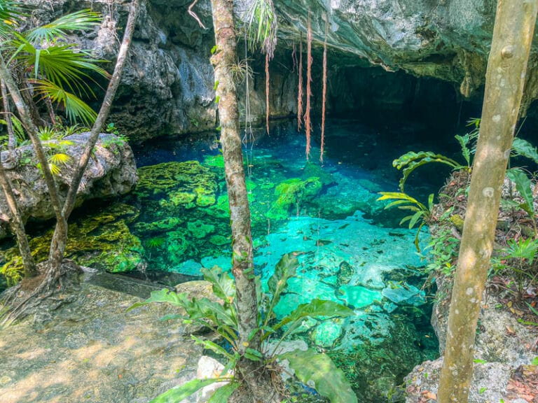 How to Visit the spectacular Cenote Minotauro, Riviera Maya