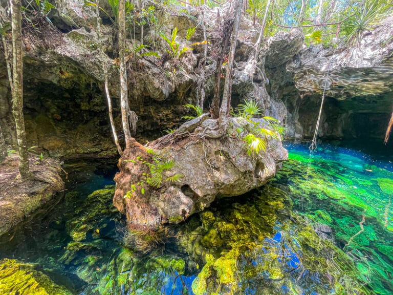 How to Visit the spectacular Cenote Minotauro, Riviera Maya