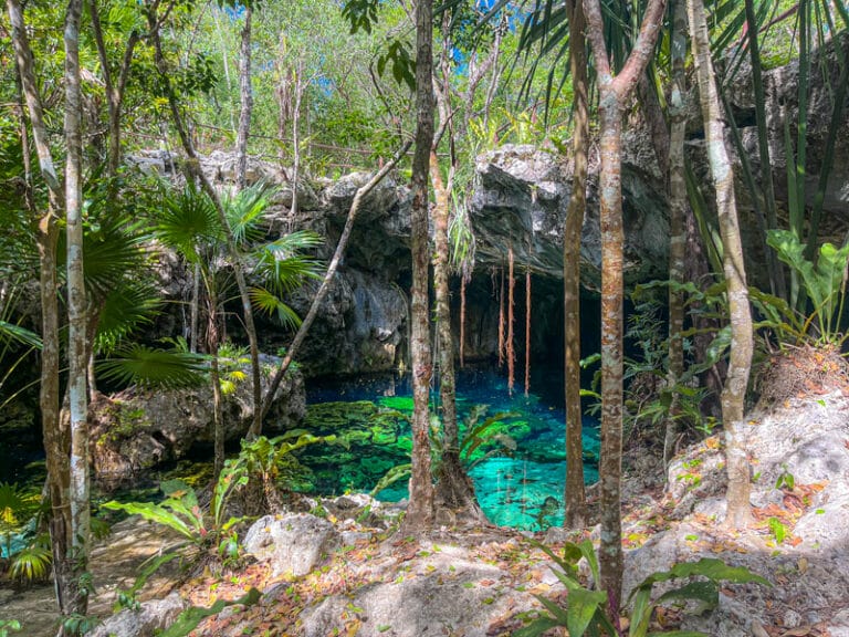 How to Visit the spectacular Cenote Minotauro, Riviera Maya