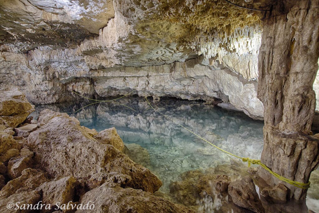 Cenote Suytun: Is It Worth Visiting? An Honest Review