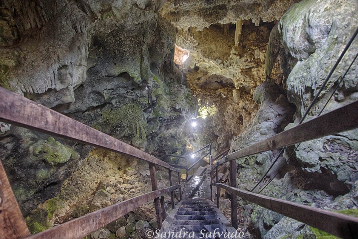 How to visit Cenote Chulul in Homun: The Complete Guide