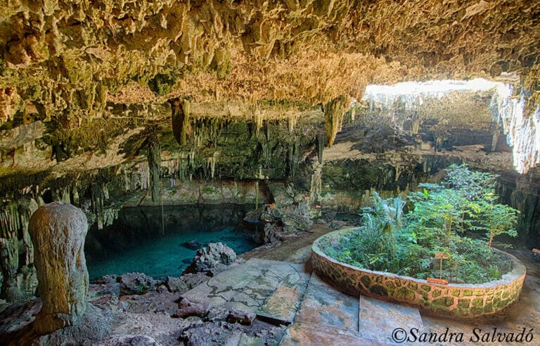 How to visit Cenote Tza Ujun Kat, Homun