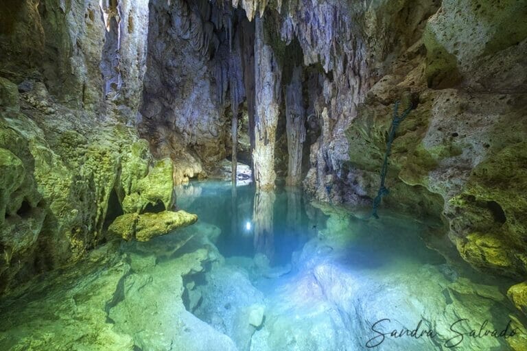 The 20 Best Homun Cenotes: The Complete Guide [2023]