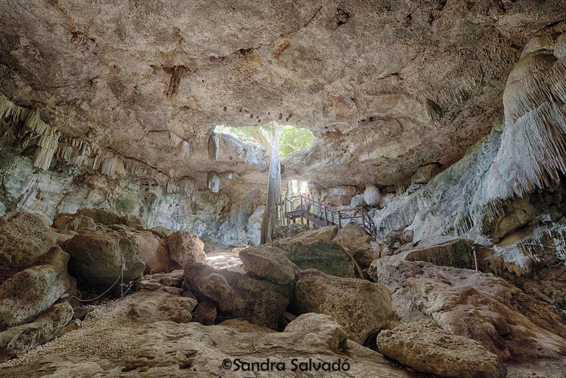 Morphology and history of the cenotes in Mexico's Yucatan Peninsula