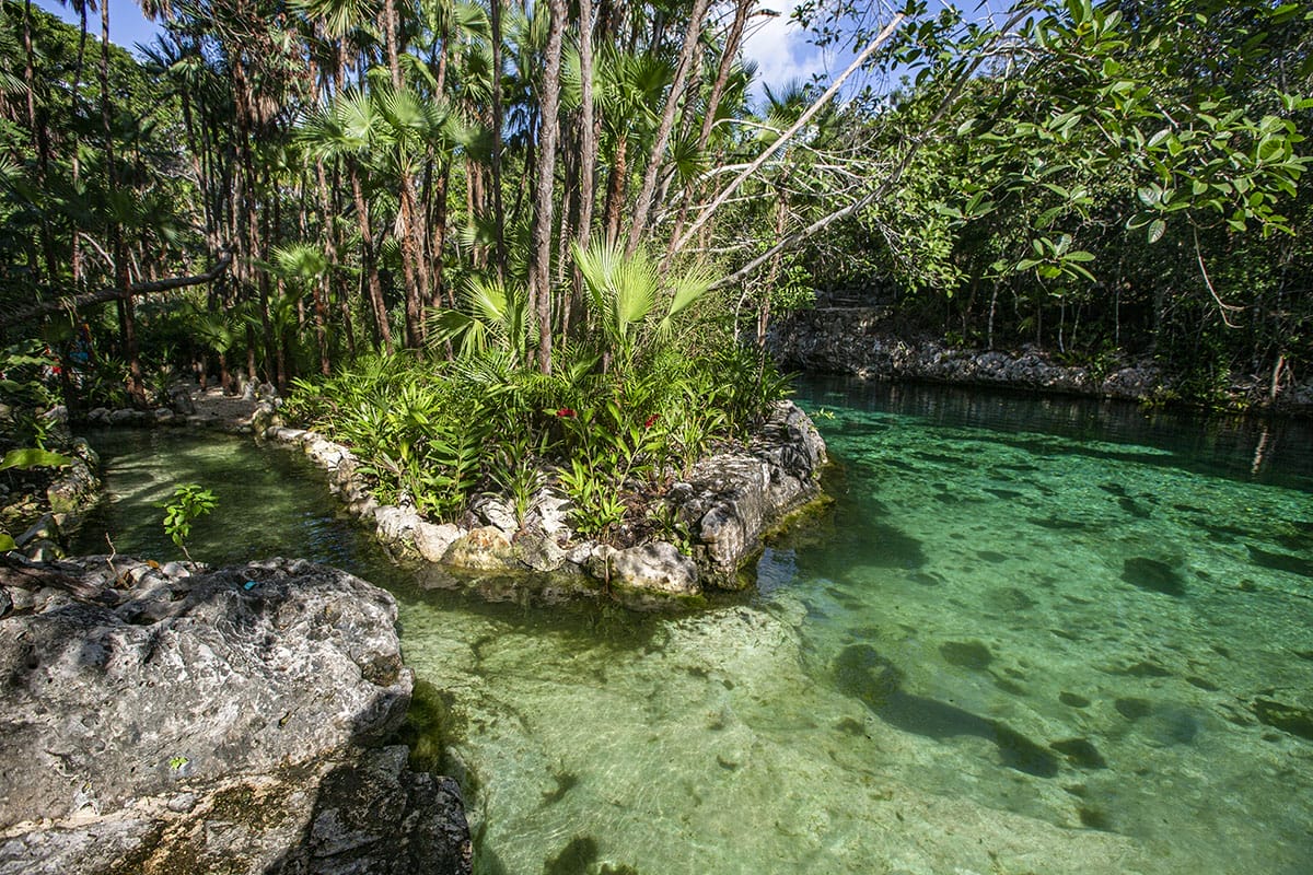 How to visit Cenote Yax-kin: Info & Prices [2022]
