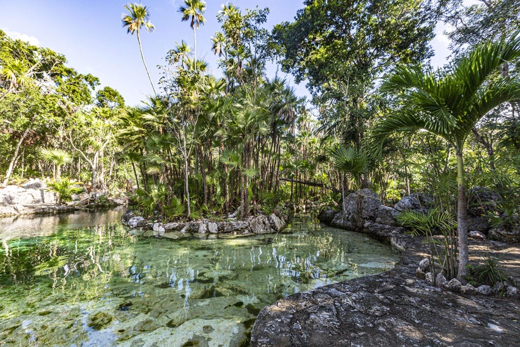 How to visit Cenote Yax-kin: Info & Prices [2022]