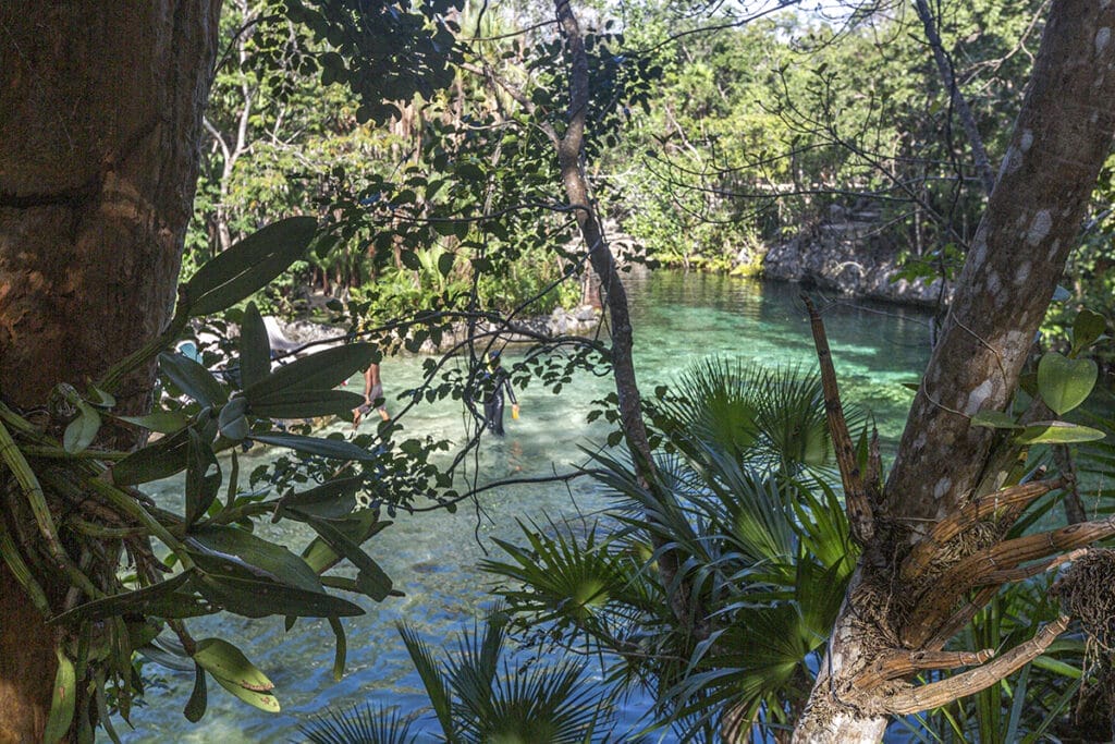How to visit Cenote Yax-kin: Info & Prices [2022]