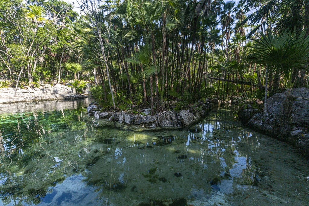 How to visit Cenote Yax-kin: Info & Prices [2022]