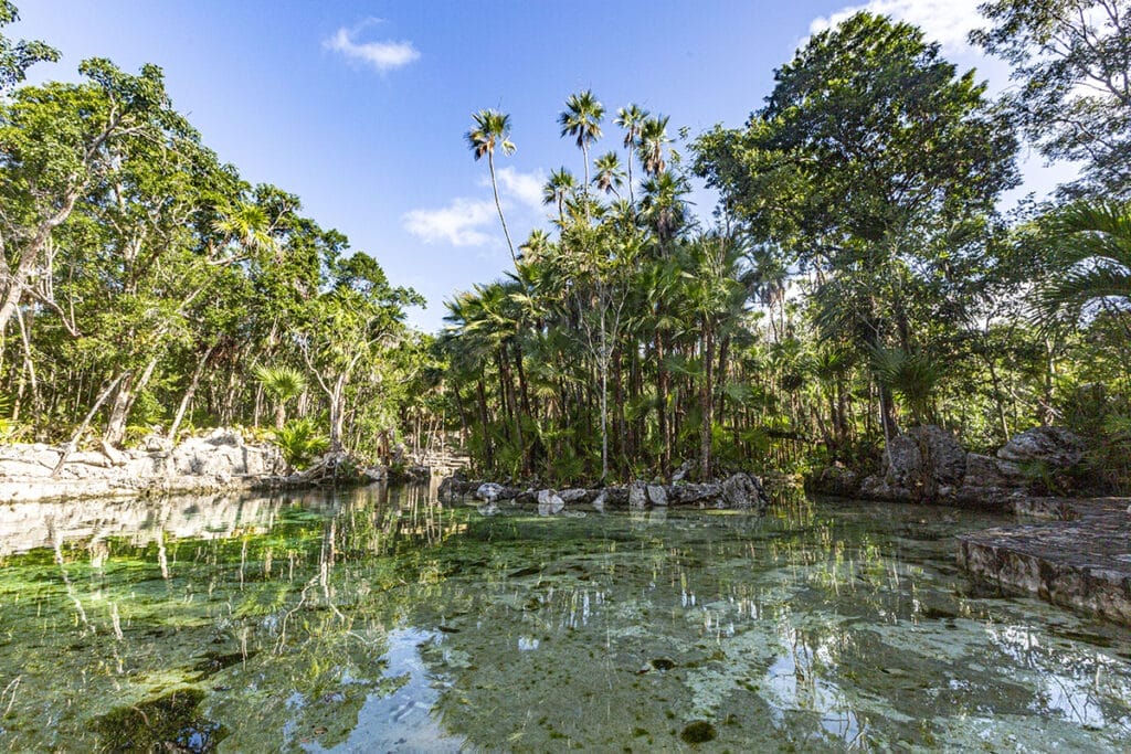 How to visit Cenote Yax-kin: Info & Prices [2022]