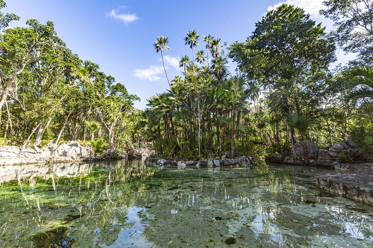 How to visit Cenote Yax-kin: Info & Prices [2022]