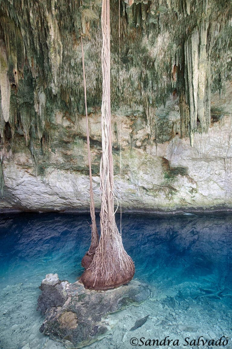 How to visit the Cenote Santa Barbara in Homun Yucatan