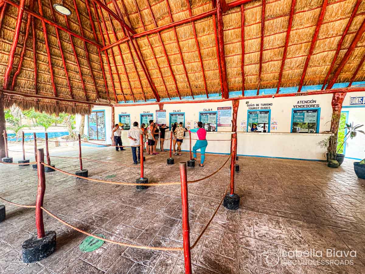 How to Visit Cenotes Casa Tortuga Tulum + Our Honest Review